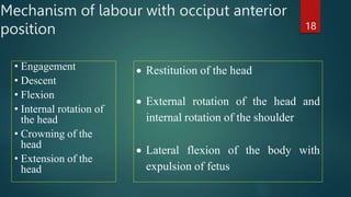 Mechanism of normal labour. Types of female pelvis.pptx