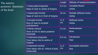 Mechanism of normal labour. Types of female pelvis.pptx