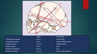 Mechanism of normal labour. Types of female pelvis.pptx