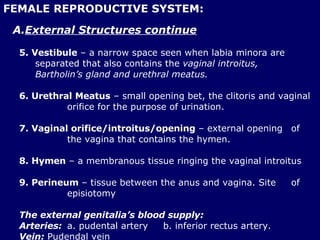 Gynecological Anatomy & Physiology | PPT