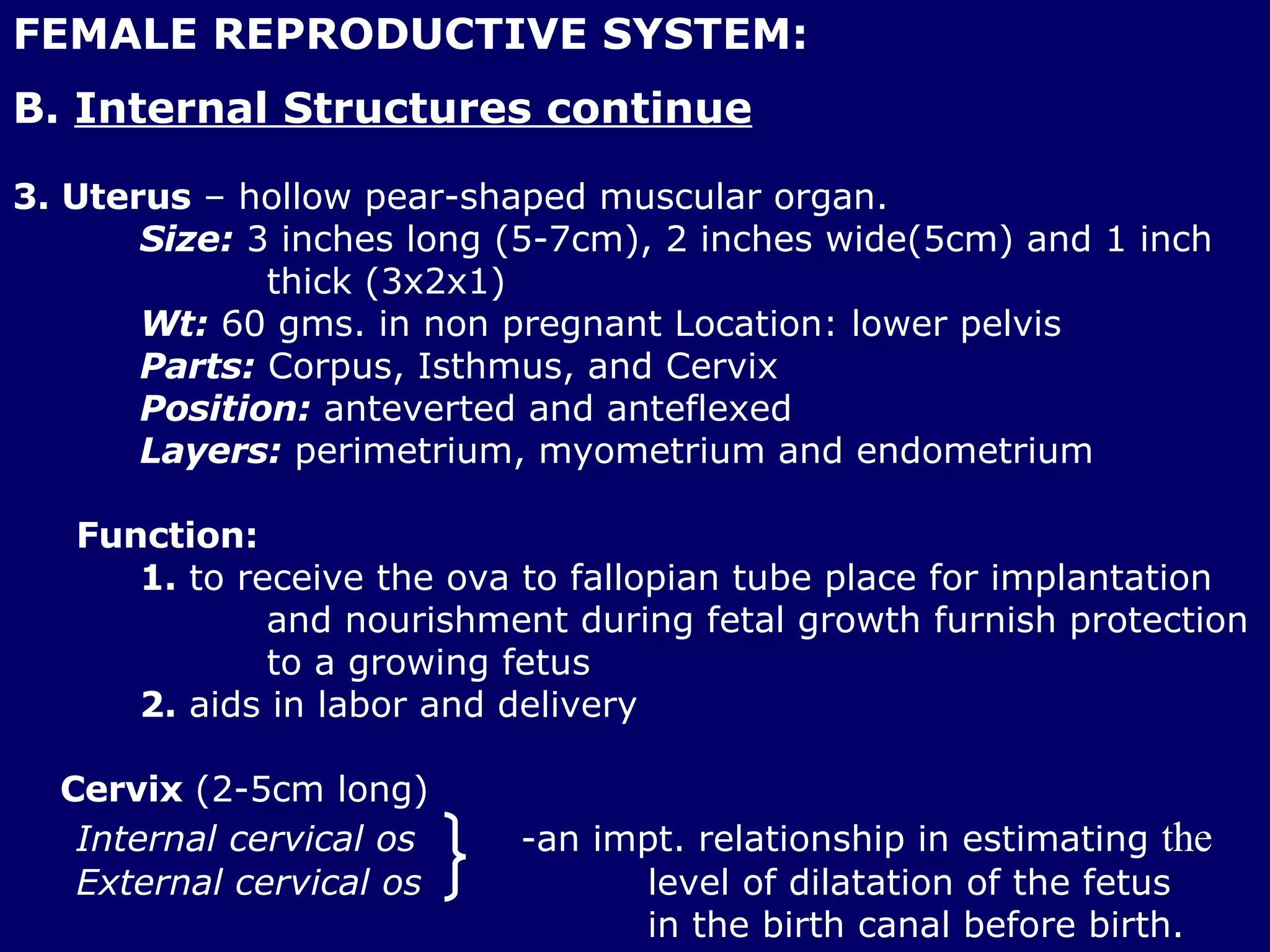 Gynecological Anatomy & Physiology | PPT