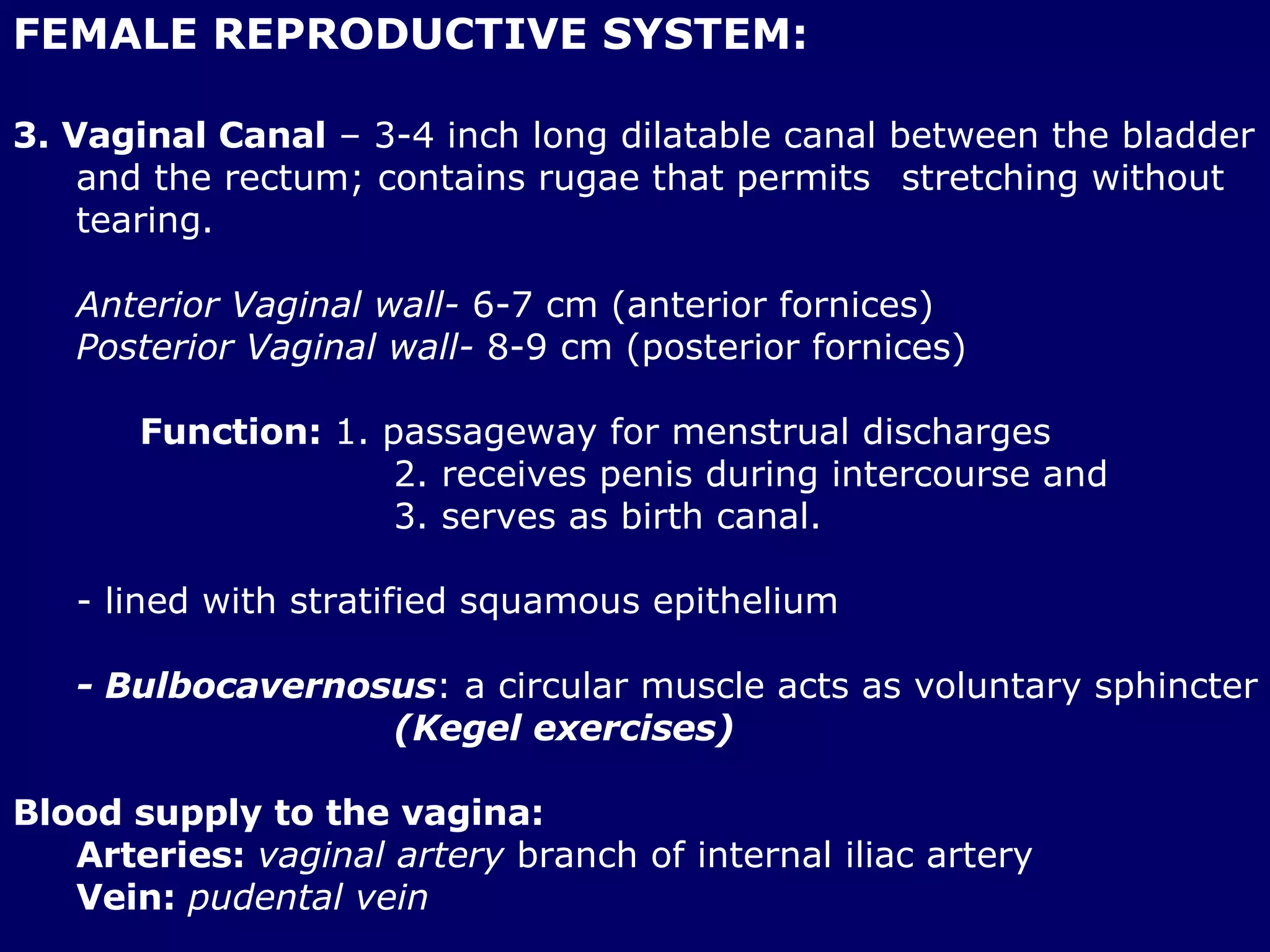 Gynecological Anatomy & Physiology | PPT