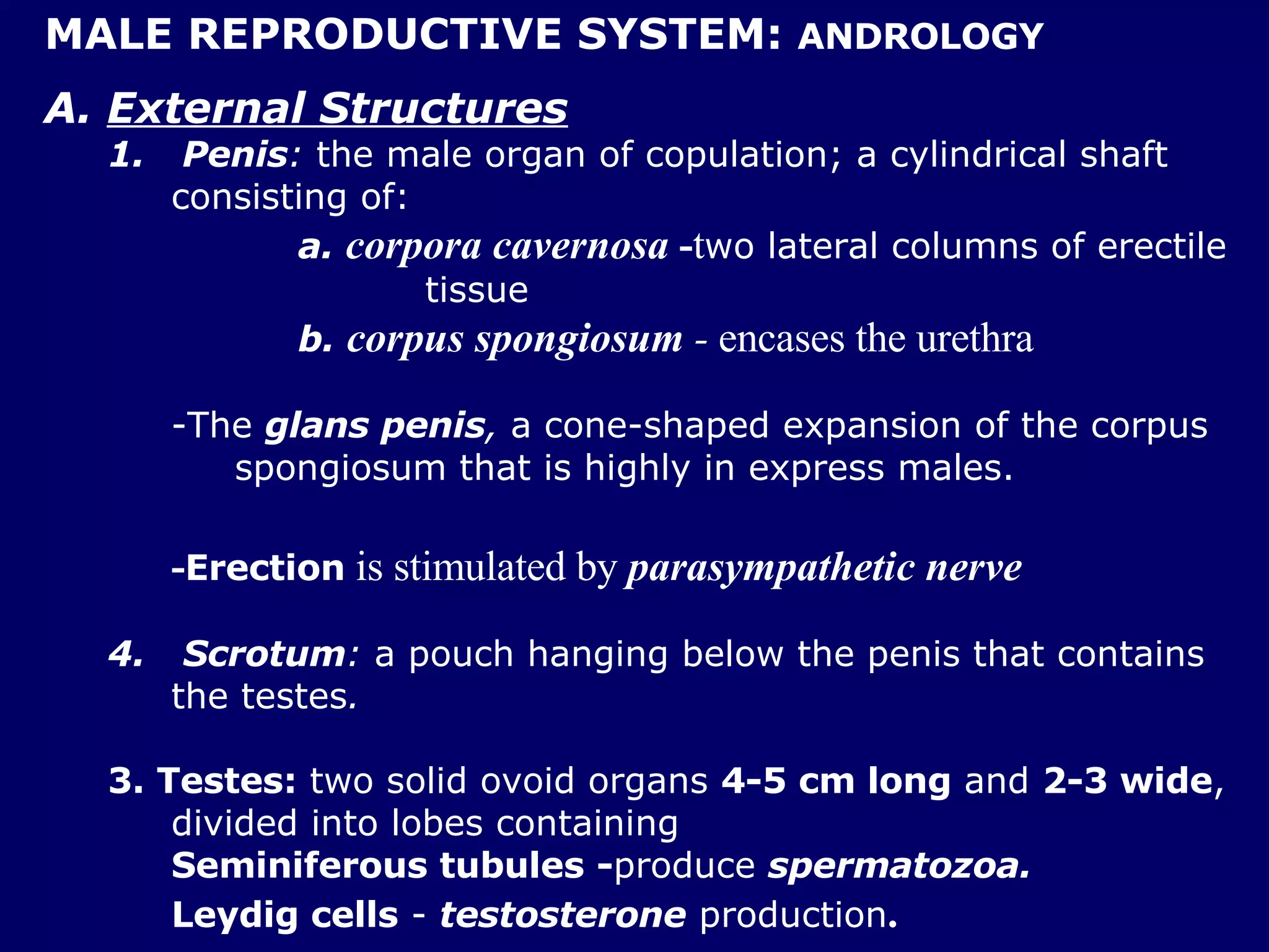 Gynecological Anatomy & Physiology | PPT
