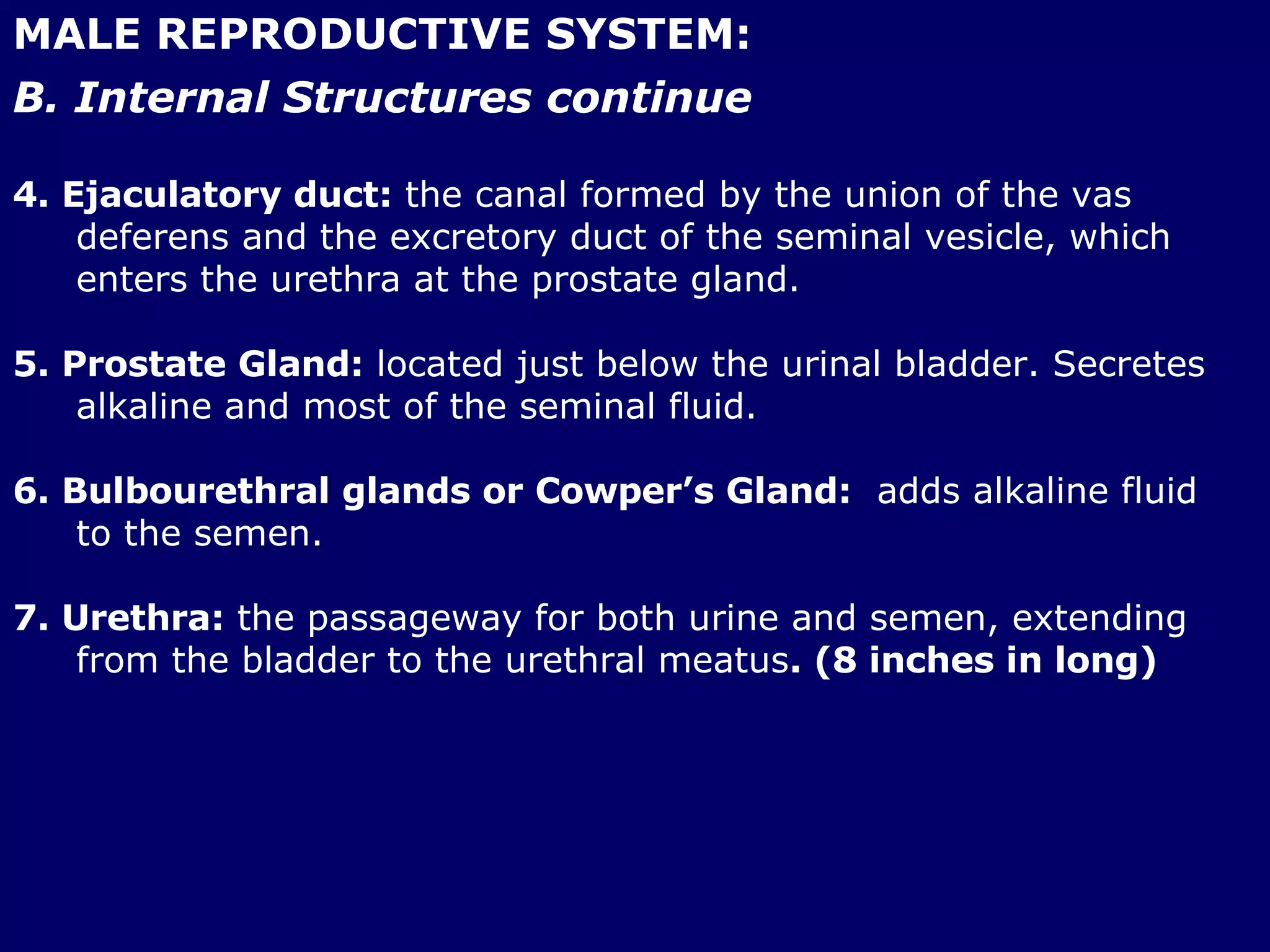 Gynecological Anatomy & Physiology | PPT