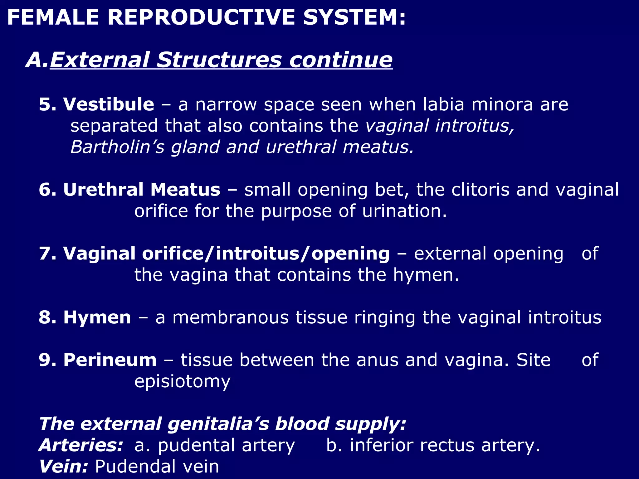 Gynecological Anatomy & Physiology | PPT