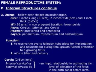 Gynecological Anatomy & Physiology | PPT