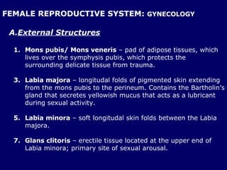 Gynecological Anatomy & Physiology | PPT