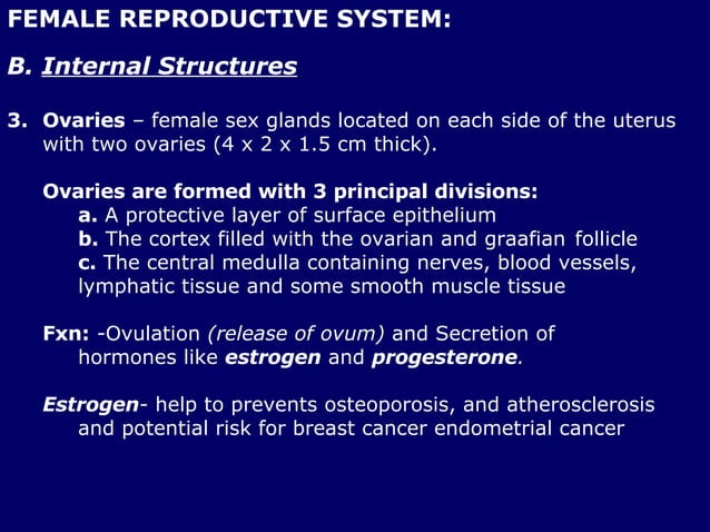 Gynecological Anatomy Physiology Ppt
