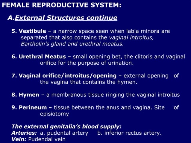 Gynecological Anatomy Physiology594 | PDF