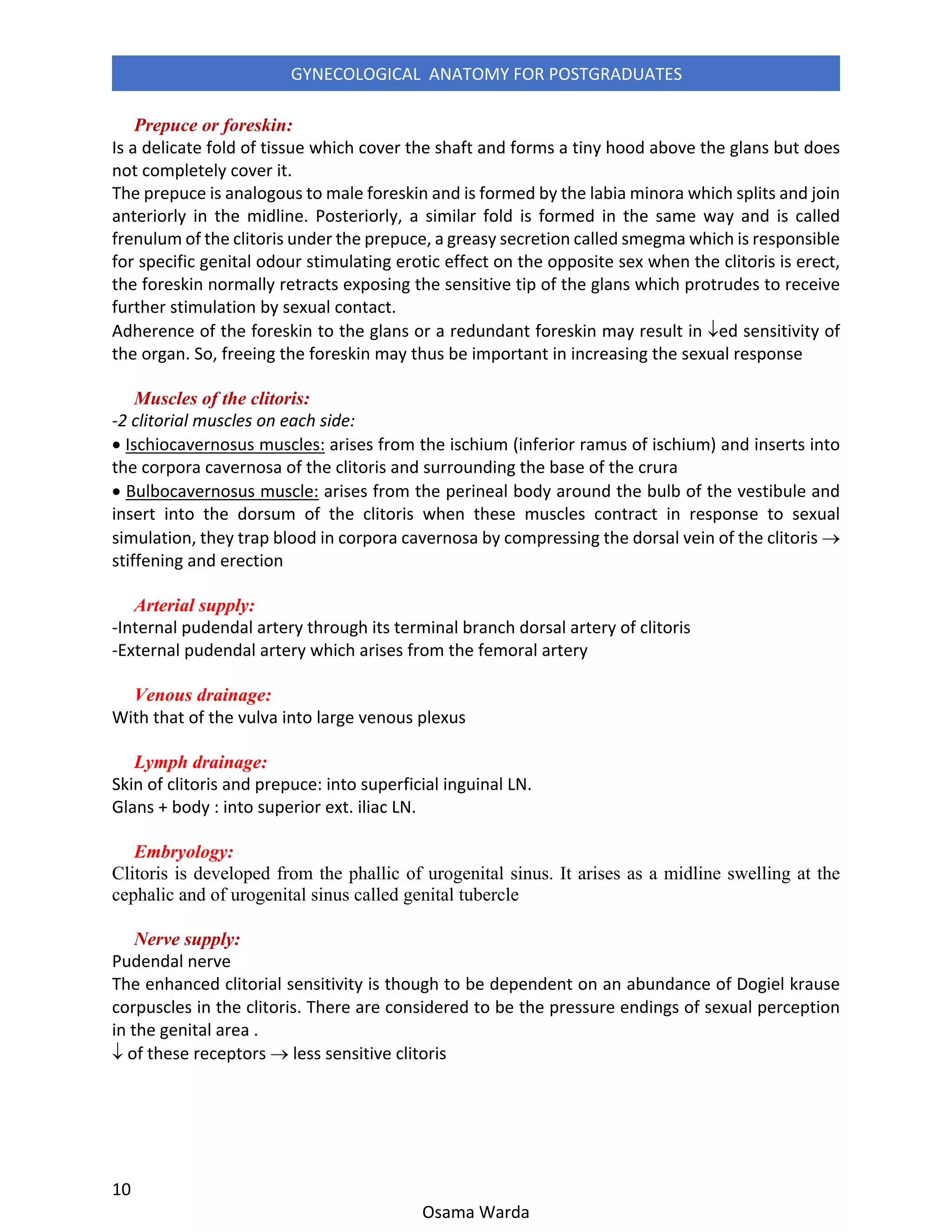 Gynecological anatomy for postgraduates | PDF