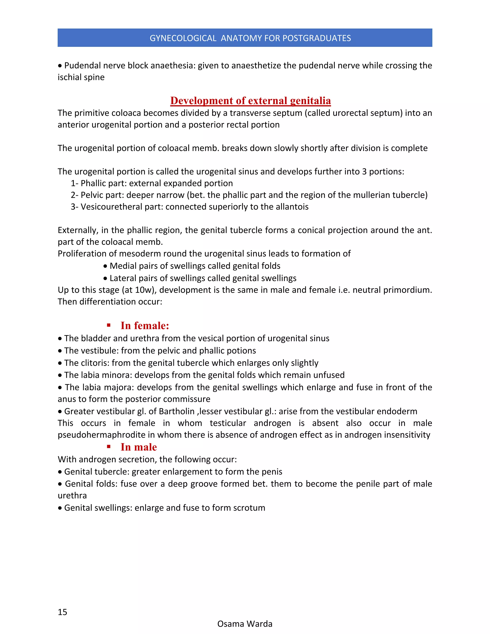 Gynecological anatomy for postgraduates | PDF