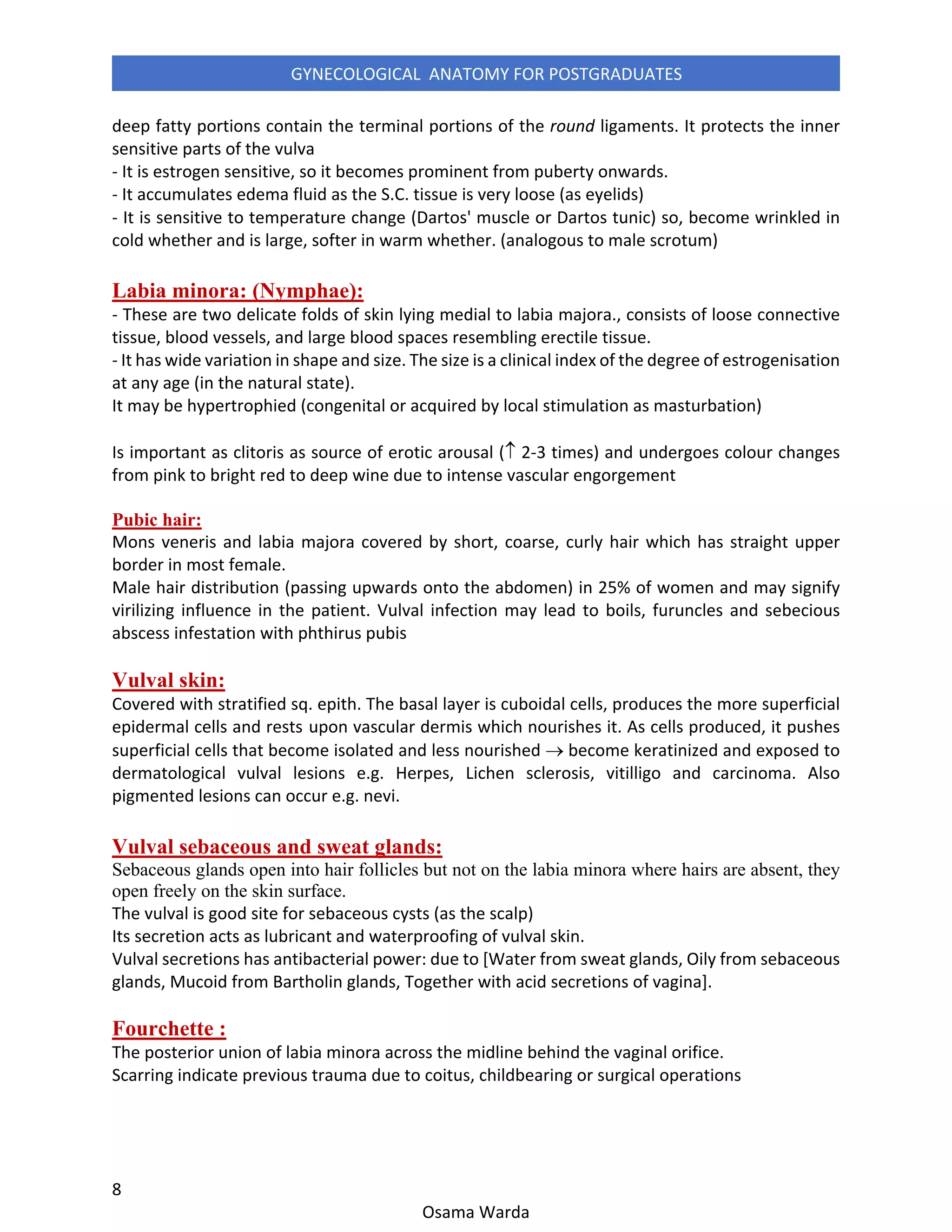 Gynecological anatomy for postgraduates | PDF
