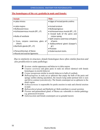 Gynecological anatomy for postgraduates | PDF