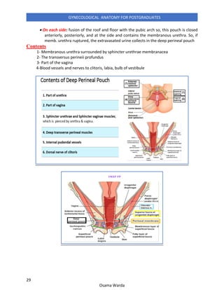 Gynecological anatomy for postgraduates | PDF