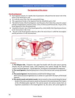 Gynecological anatomy for postgraduates | PDF