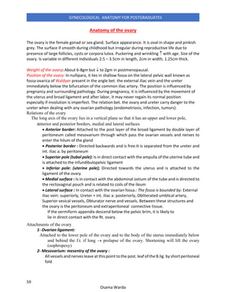 Gynecological anatomy for postgraduates | PDF