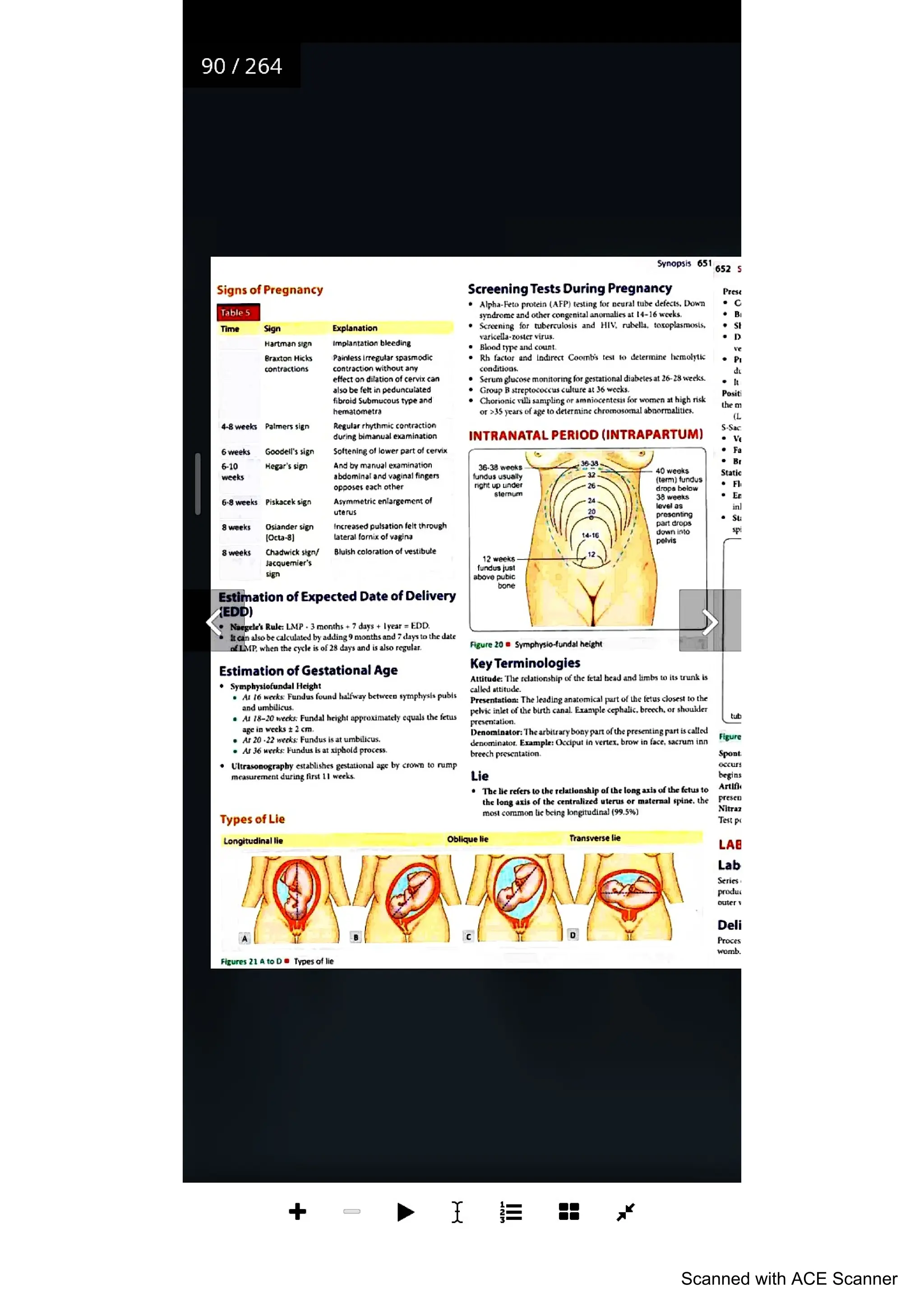 gynecological and obstetric nursing (nursing information).pdf | Technology & Computing