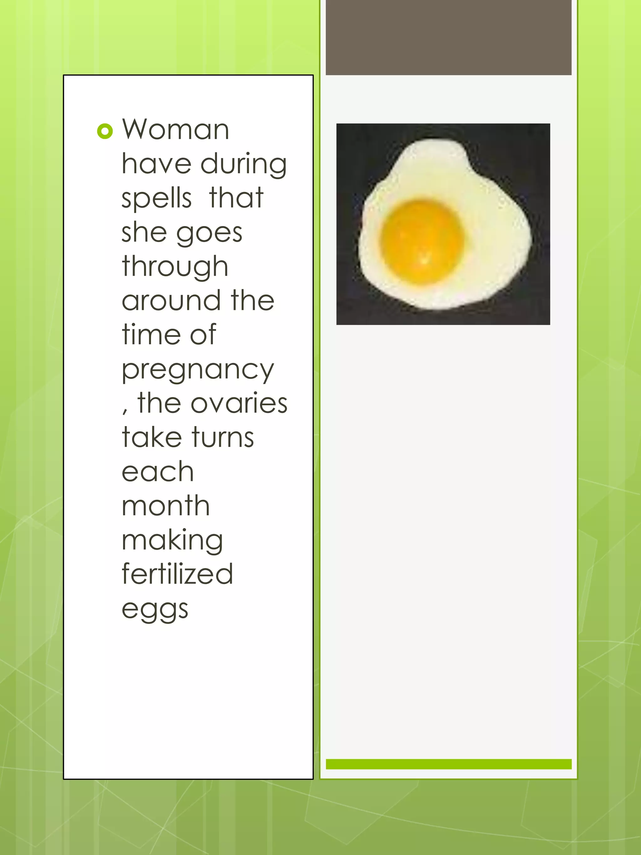 Gynecology PPTX Pregnancy Reproductive Health Gynecology PPTX Pregnancy Reproductive Health