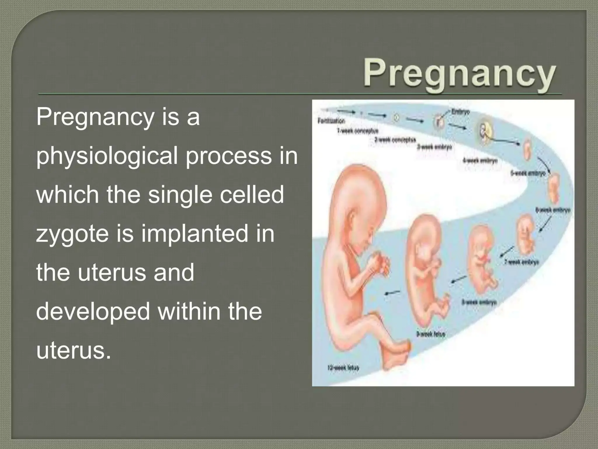 Different diagnostics method of gynecology ppt. Ahima | PPTX
