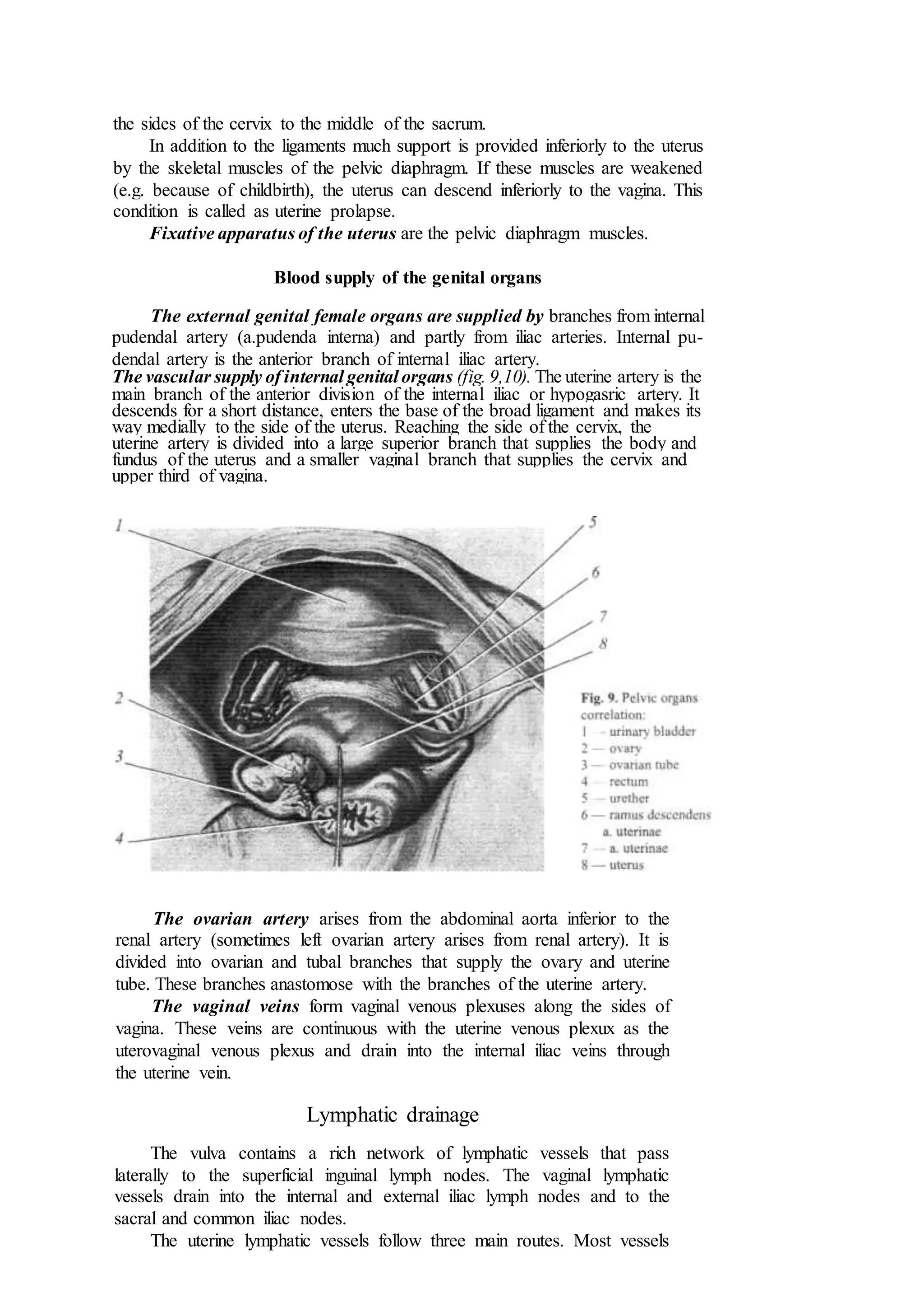 Gynecology practical | DOC