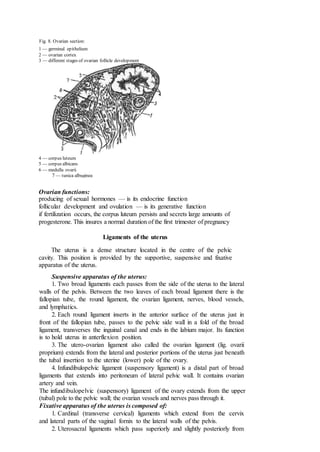 Gynecology practical | PDF