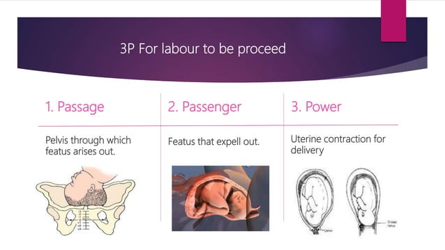 Labour and Delivery... Stages of labour.pptx