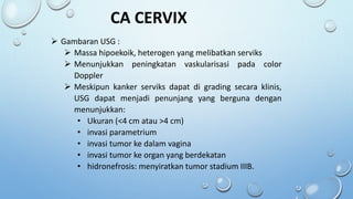 Gynecology Ultrasound---.pptx