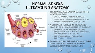 Gynecology Ultrasound---.pptx