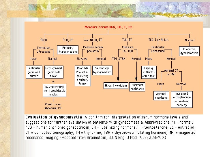 Gynecomastia | PPT | Hormonal Disorders | Endocrine and Metabolic Diseases