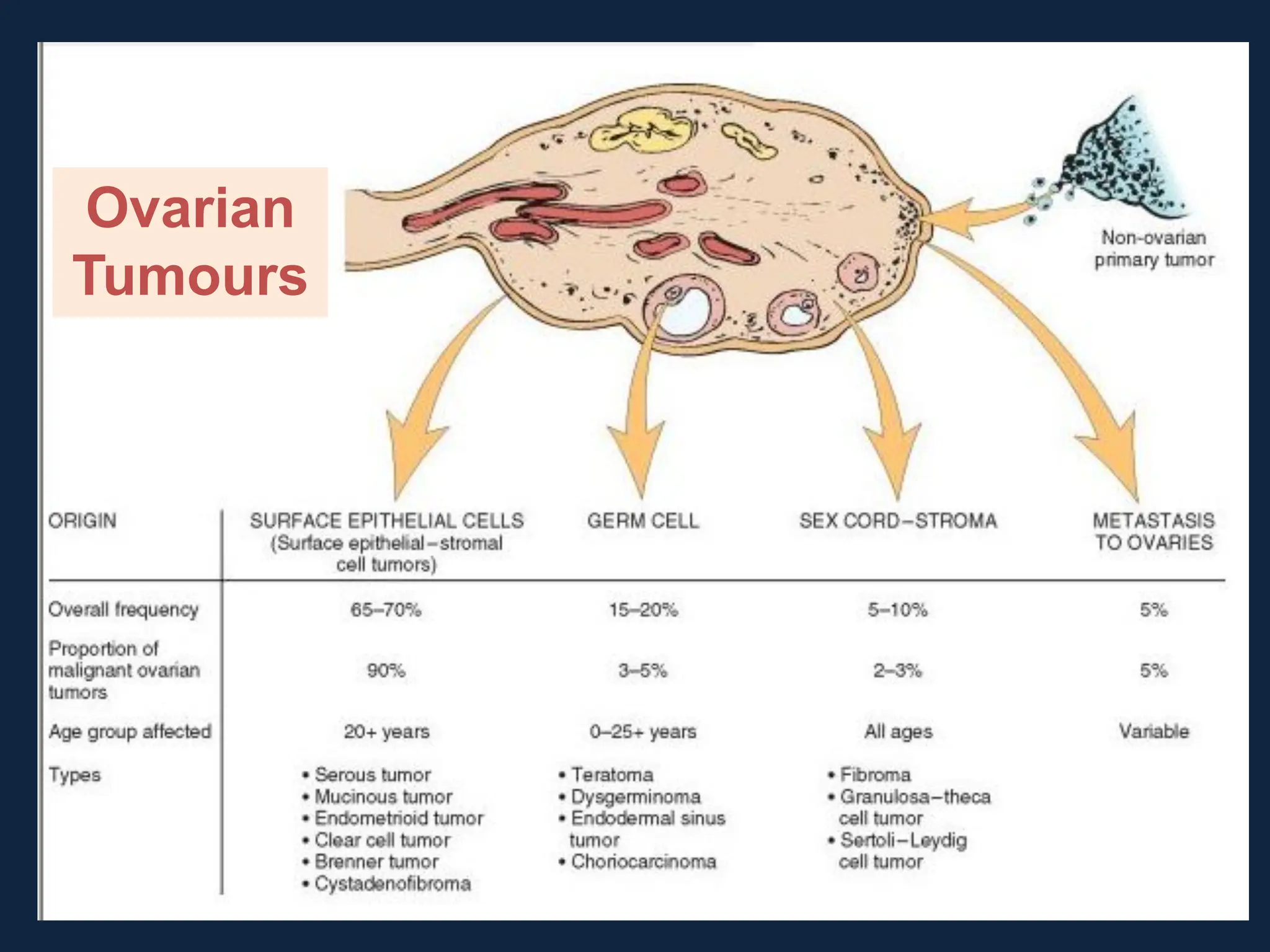 gynecopathology post pathology of ovary.pdf