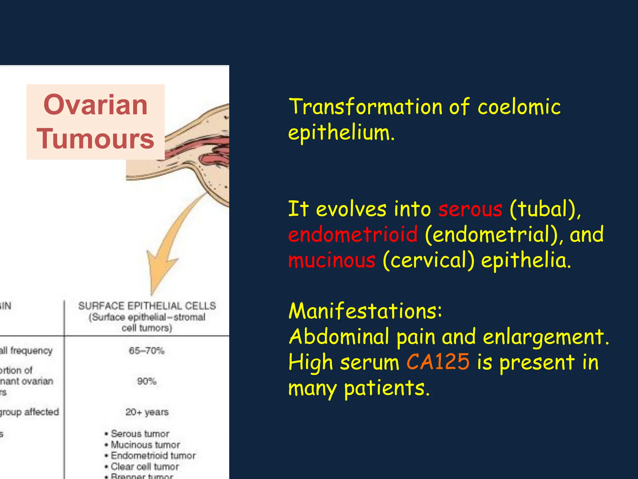 gynecopathology post pathology of ovary.pdf