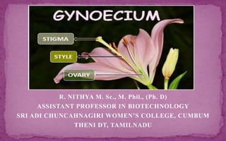 Flower Gynoecium Structure Basic