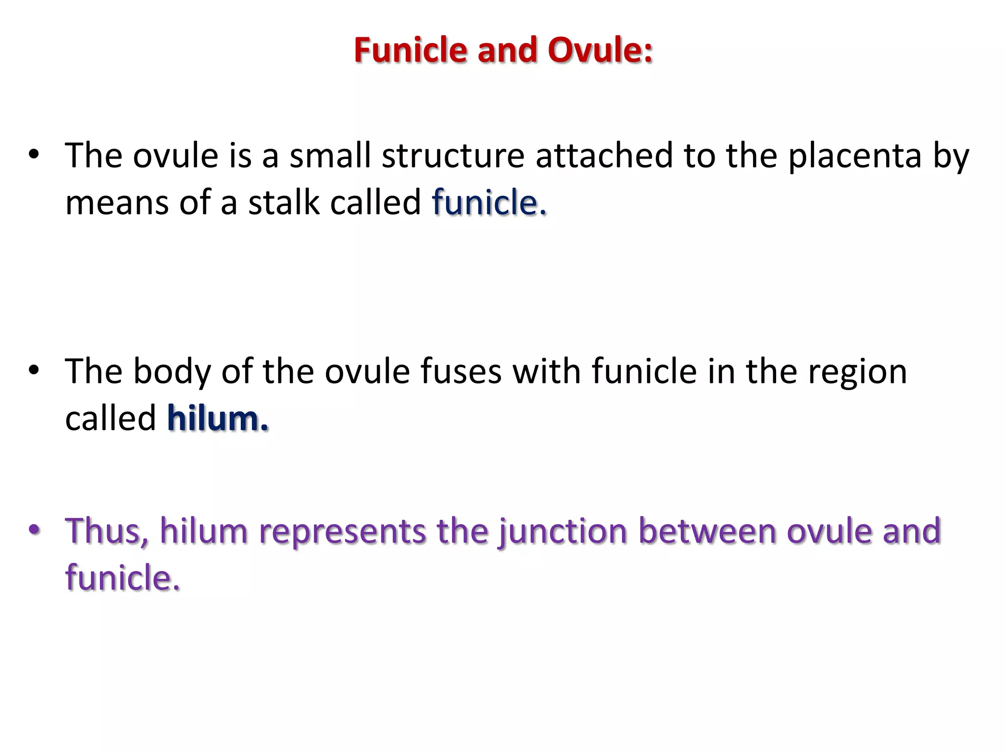 Gynoecium, Megasporogenesis, Monosporic development of Embryo, Embryo ...