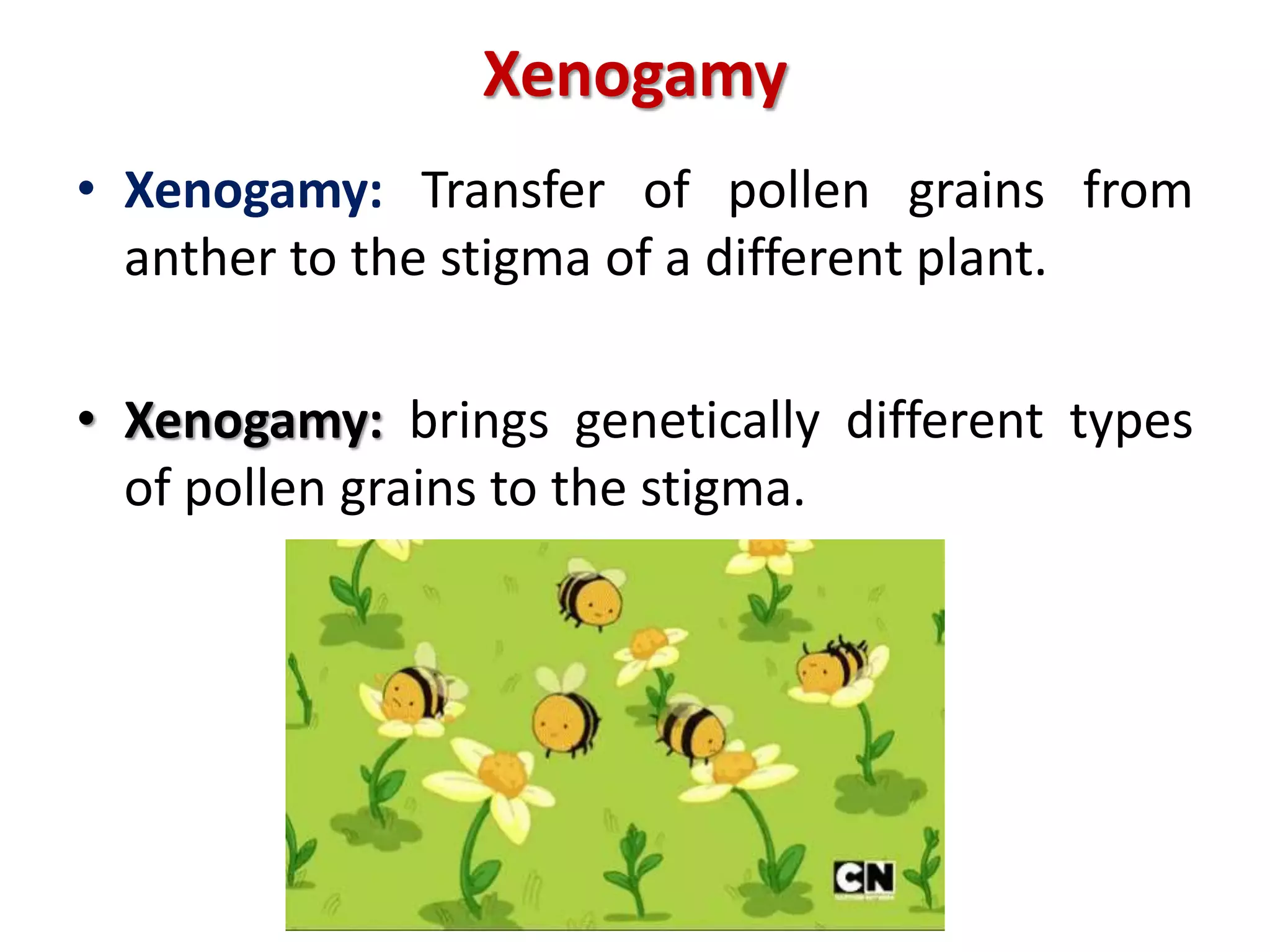 Gynoecium, Megasporogenesis, Monosporic development of Embryo, Embryo ...