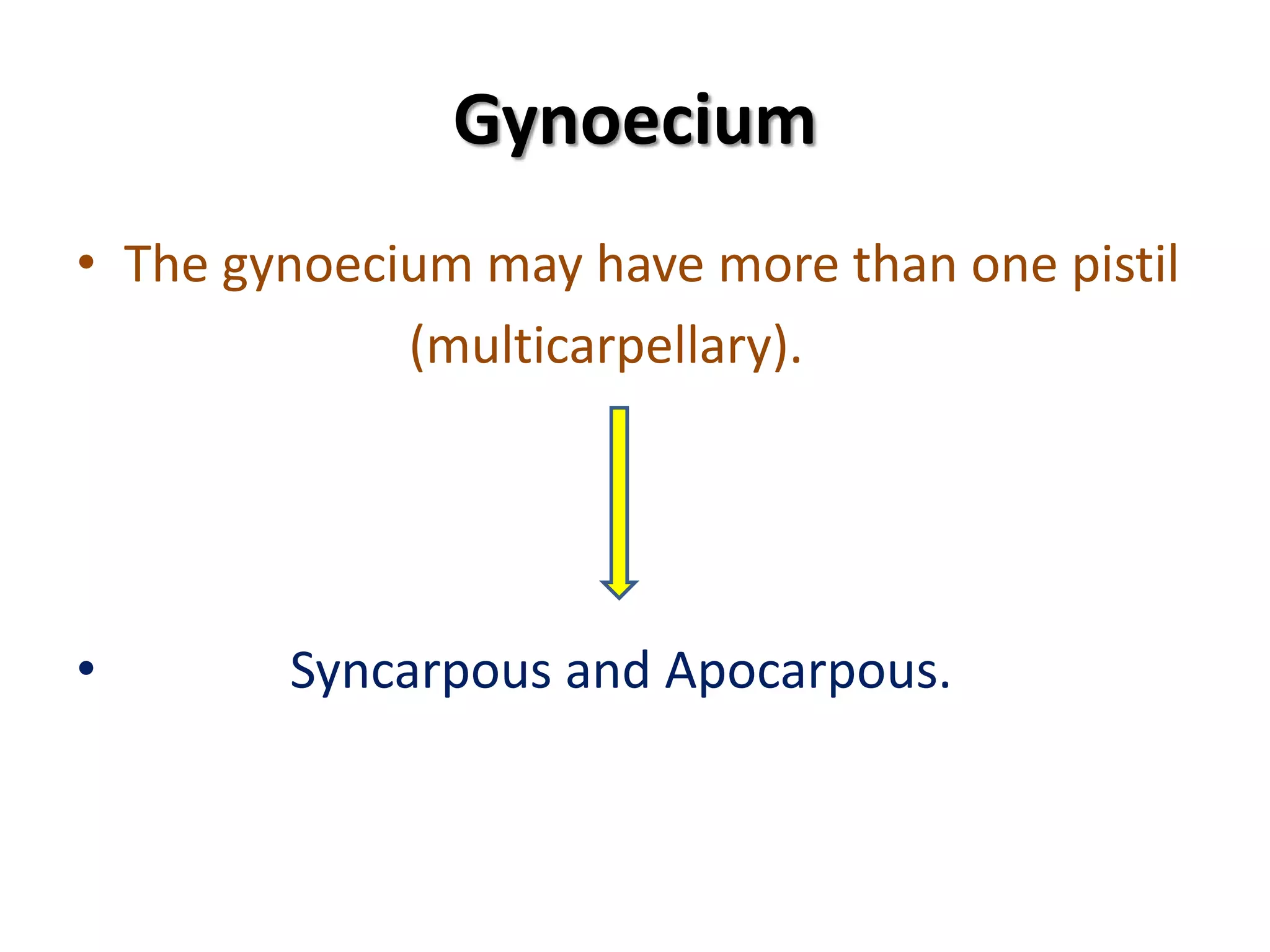 Gynoecium, Megasporogenesis, Monosporic development of Embryo, Embryo ...