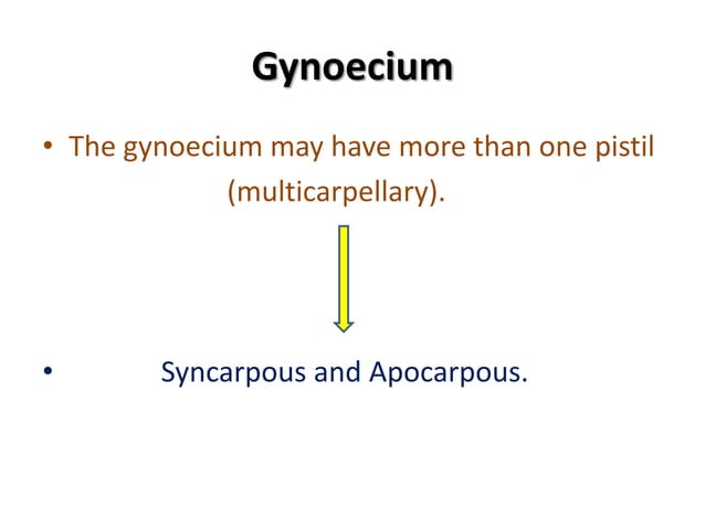 Gynoecium, Megasporogenesis, Monosporic development of Embryo, Embryo ...