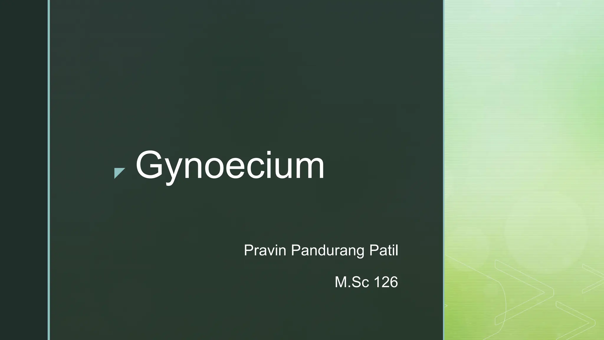 Gynoecium presentation of the day as.pptx