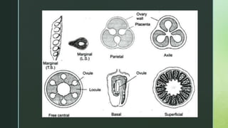 Gynoecium presentation of the day as.pptx