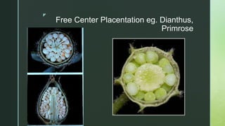 Gynoecium presentation of the day as.pptx