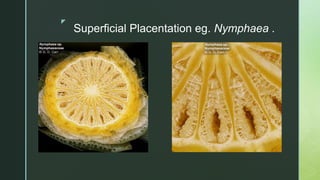 Gynoecium presentation of the day as.pptx
