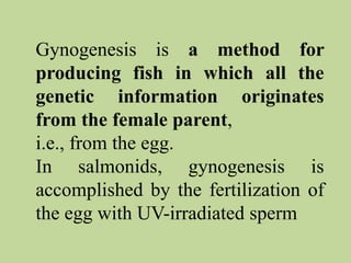 Gynogenesis.pptx