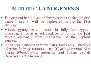 Gynogenesis in fishes | PPTX
