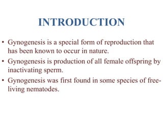 Gynogenesis in fishes | PPTX
