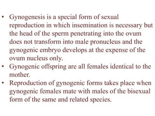 Gynogenesis in fishes | PPTX