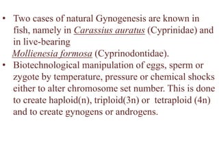 Gynogenesis in fishes | PPTX
