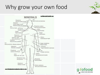 Grow your own food | PPTX
