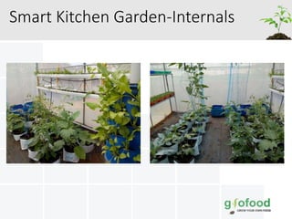 Setup Smart Kitchen Garden to grow vegetable – GROW YOUR OWN FOOD – GYOFOOD