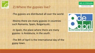 Gypsies | PPTX