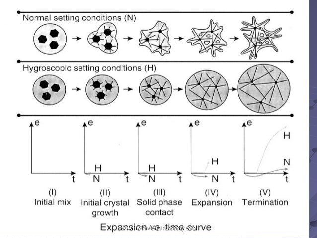 Gypsum / dental lab technology courses