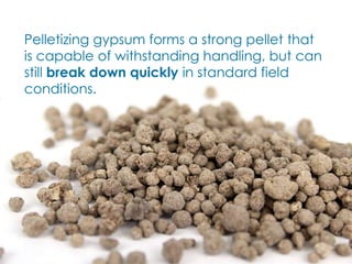 Pelletizing Gypsum | PPTX